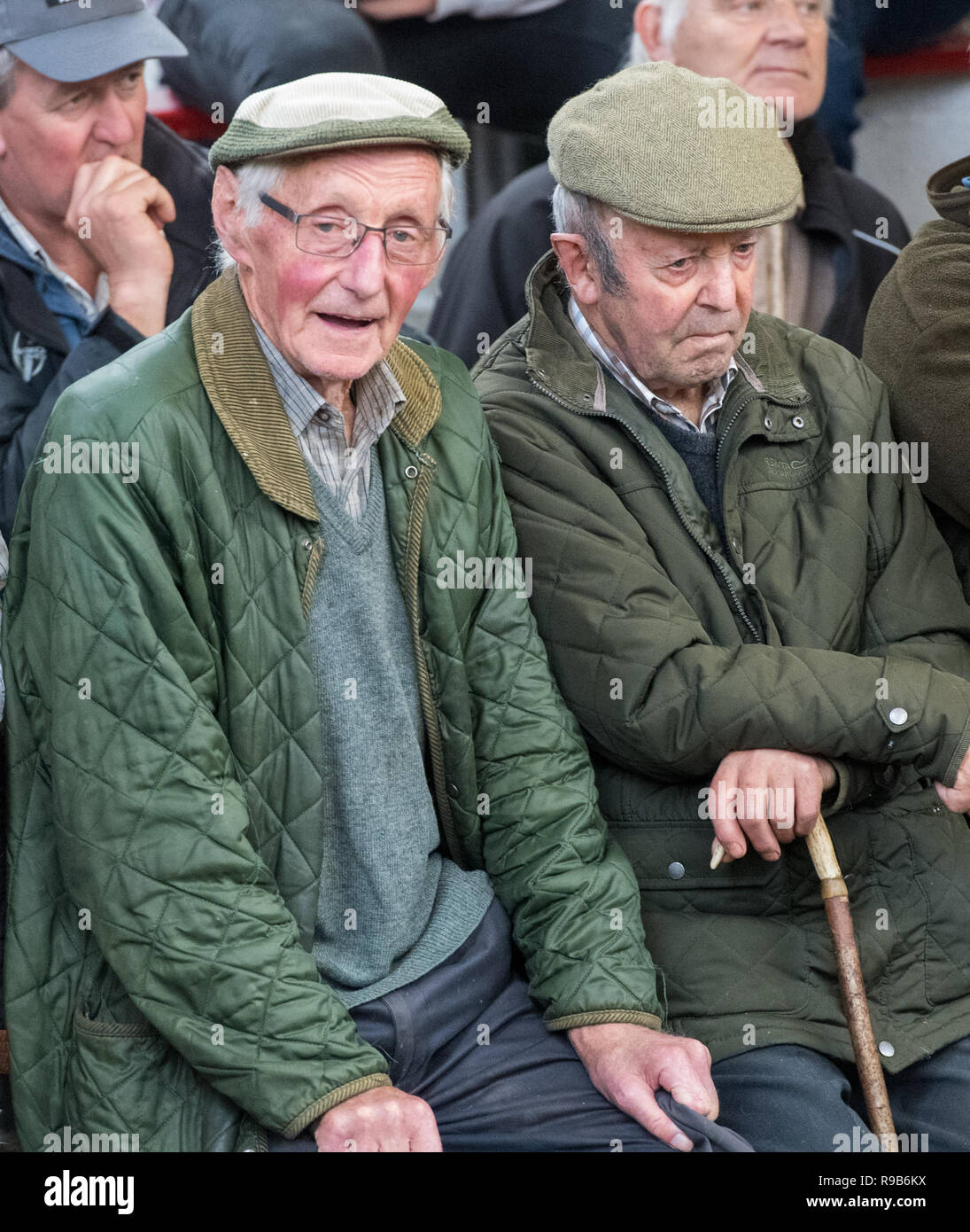 Farmers in the auction mart at Hawes watching a sale. North Yorkshire ...