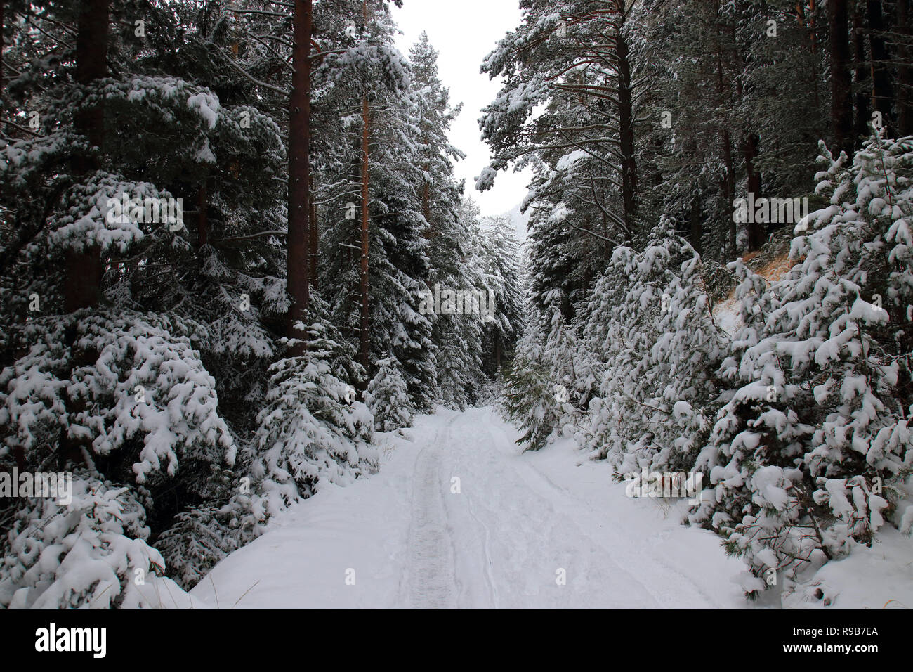 Southern hemisphere winter solstice hi-res stock photography and images ...
