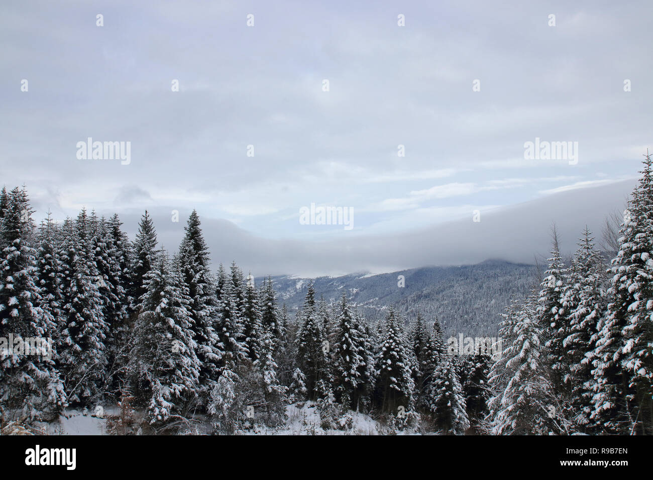 Southern hemisphere winter solstice hi-res stock photography and images ...