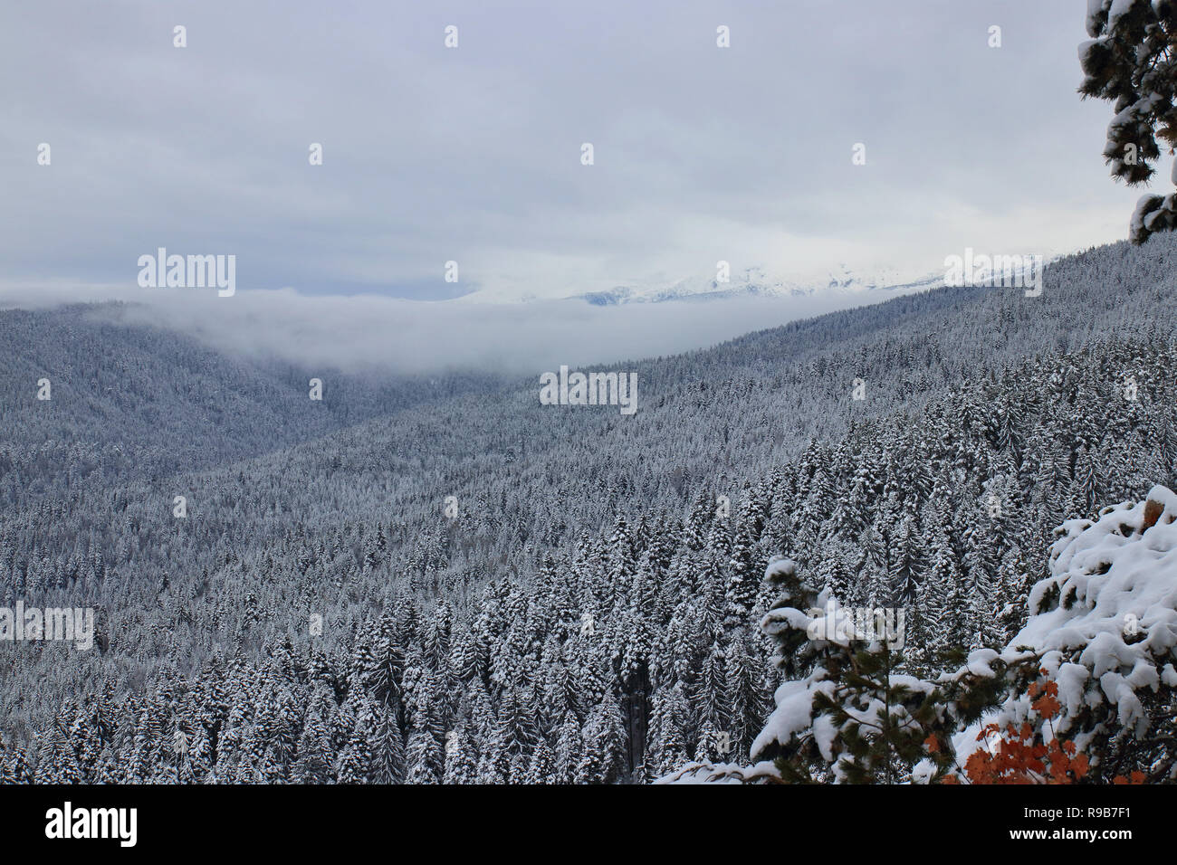 Southern hemisphere winter solstice hi-res stock photography and images ...