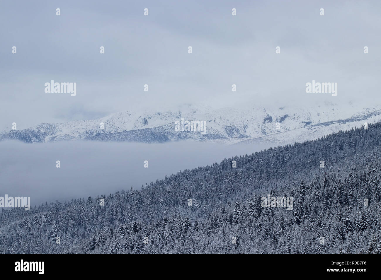 Southern hemisphere winter solstice hi-res stock photography and images ...