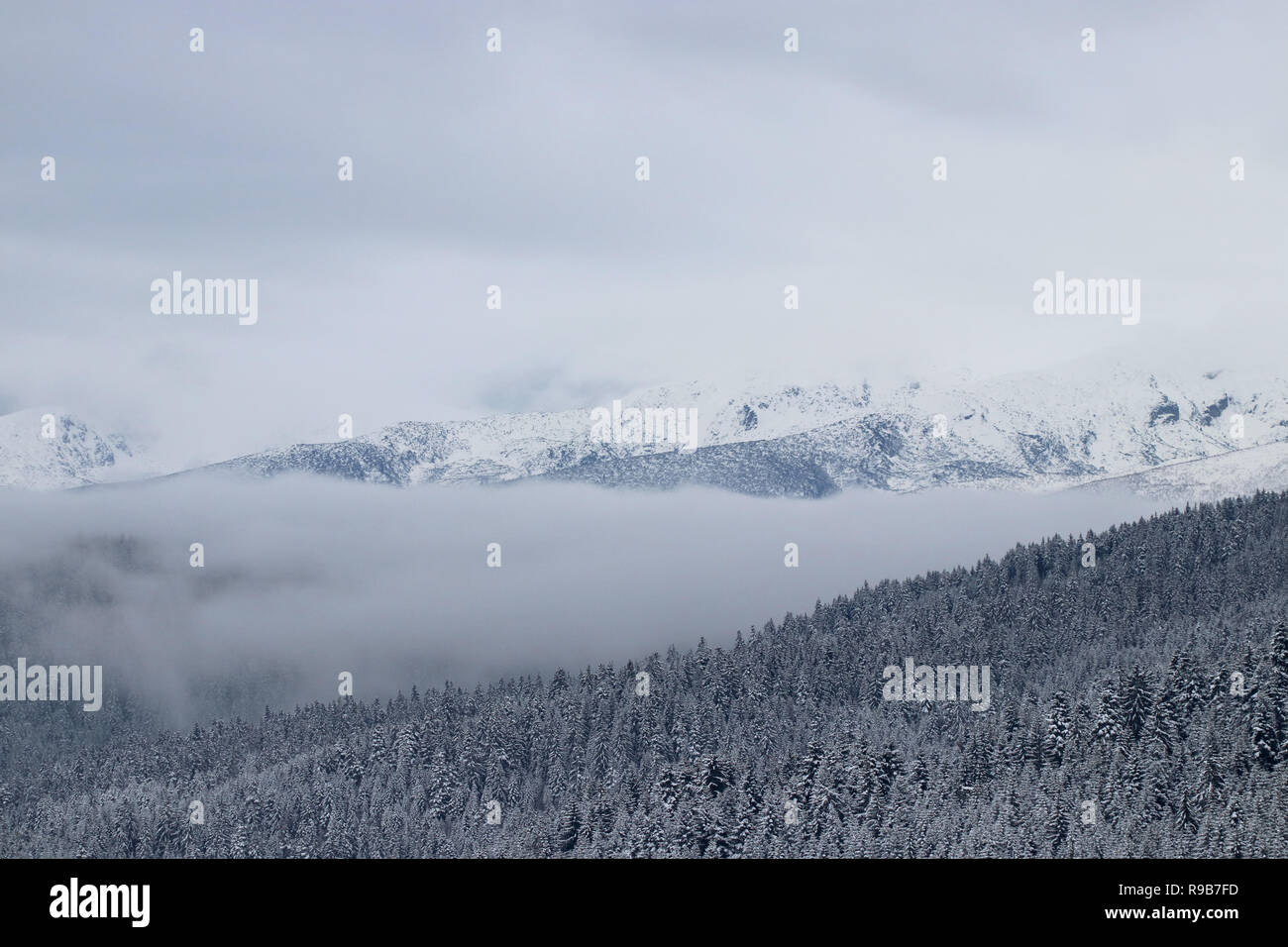 Southern hemisphere winter solstice hi-res stock photography and images ...
