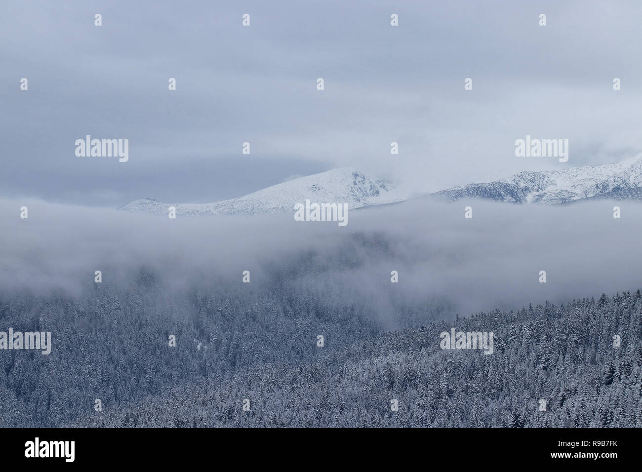 Southern hemisphere winter solstice hi-res stock photography and images ...