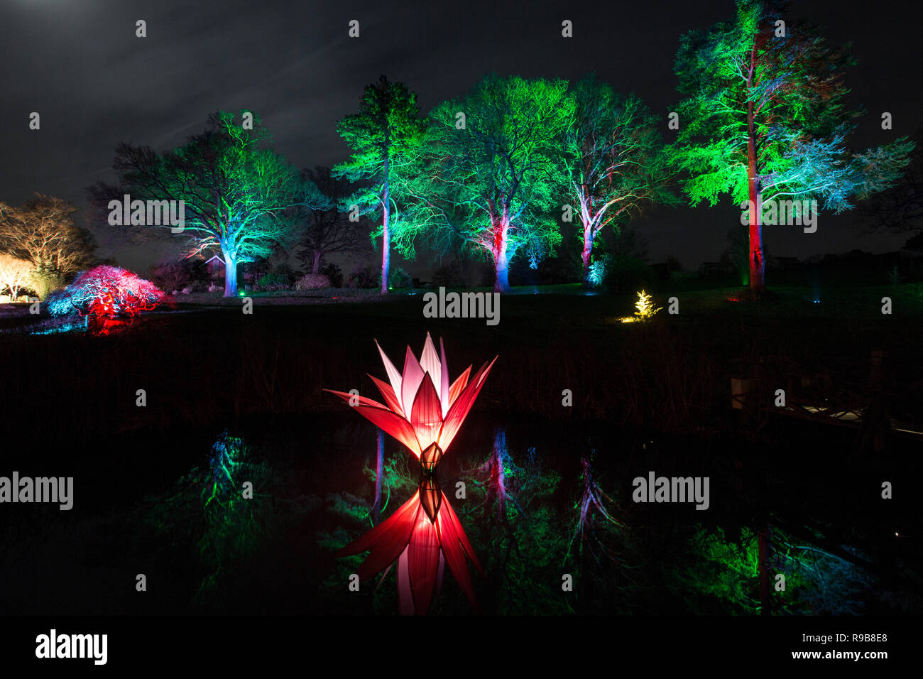 Glow 2018 at RHS Garden Wisley, Christmas Lighting Event at RHS Wisley ...