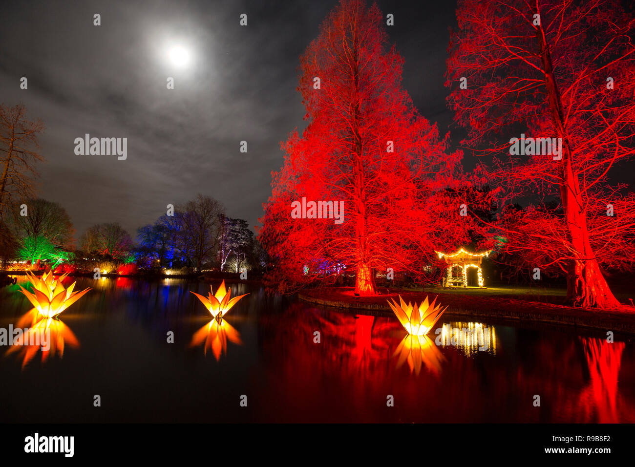 Glow 2018 at RHS Garden Wisley, Christmas Lighting Event at RHS Wisley ...