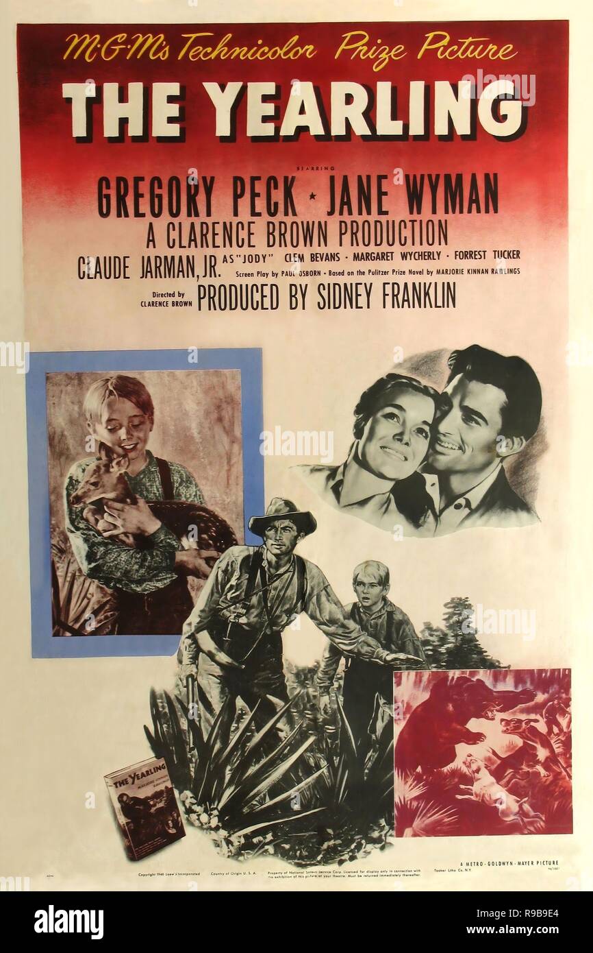 The yearling film hi-res stock photography and images - Alamy