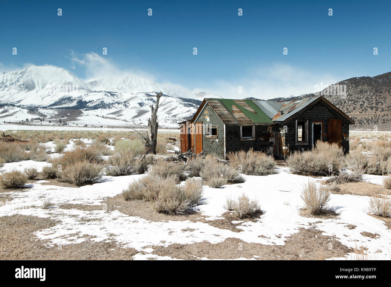 Mammoth house hi-res stock photography and images - Alamy