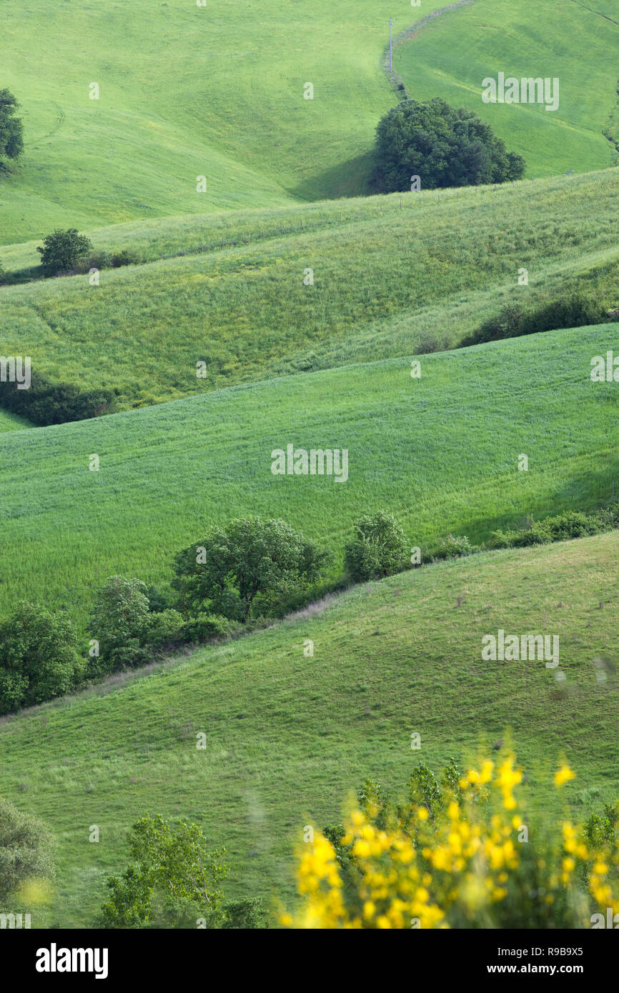 green summer landscape in tuscany, Italy Stock Photo - Alamy
