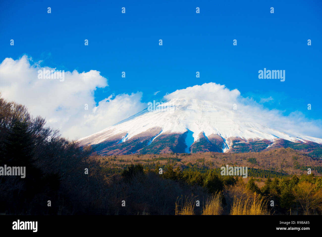 Mt. Fuji in Fuji, Japan. Fuji is one of the important cities in Japan ...