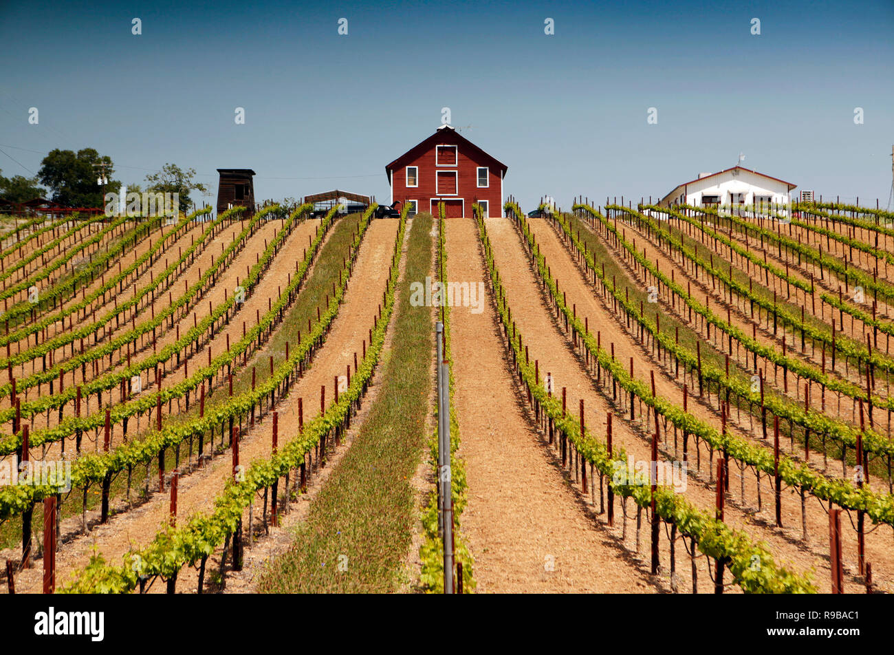 USA, California, Healdsburg, on the grounds of Timber Crest Farms on ...