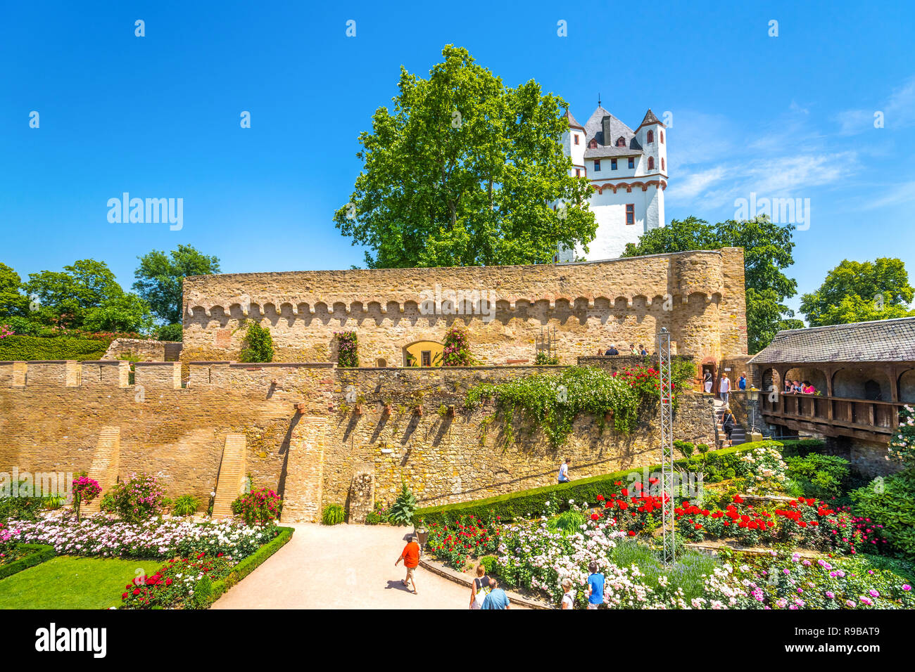 Castle and the city of Eltville am Rhein, Germany Stock Photo - Alamy