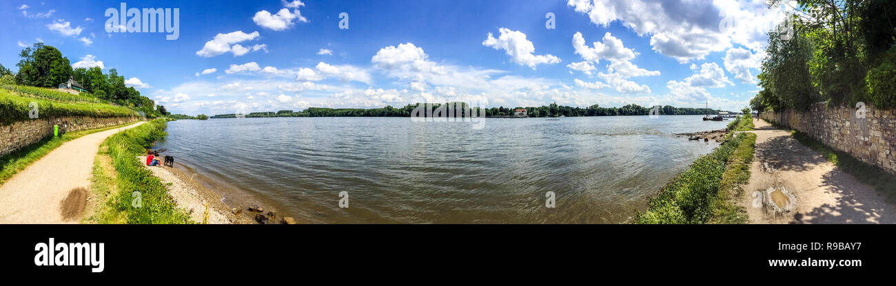 Castle and the city of Eltville am Rhein, Germany Stock Photo - Alamy