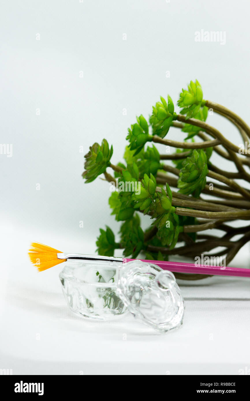 AHA fruit acids. Peeling fruit acid for the face, cosmetic brush ...