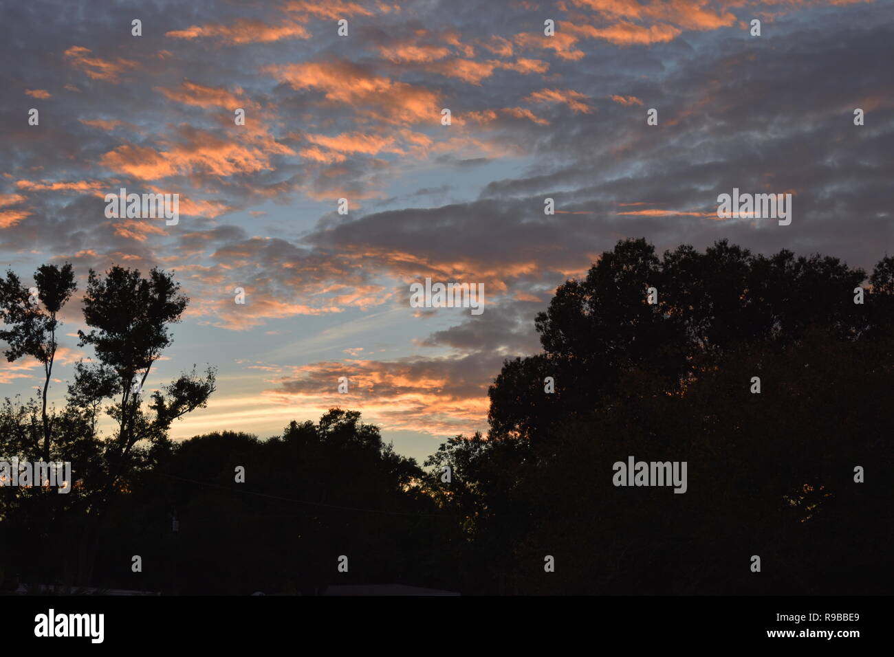 Florida sky in the winter Stock Photo - Alamy