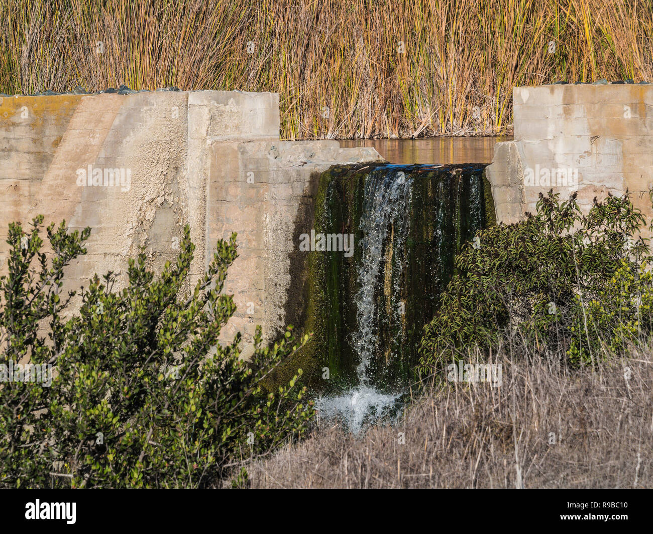 Ranch bernardo hi-res stock photography and images - Alamy