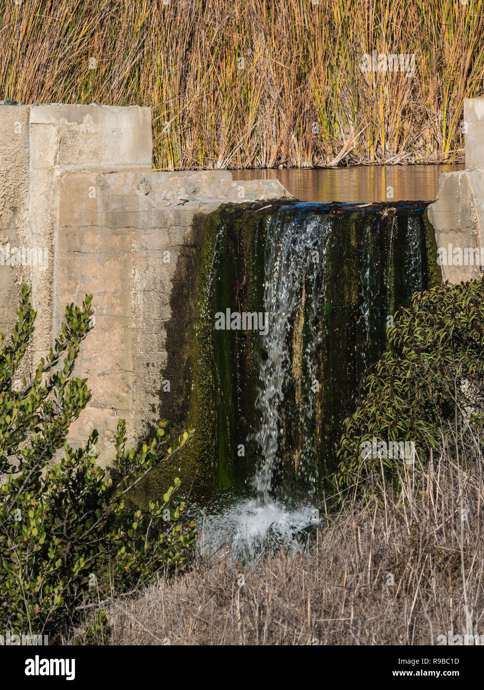 Ranch bernardo hi-res stock photography and images - Alamy