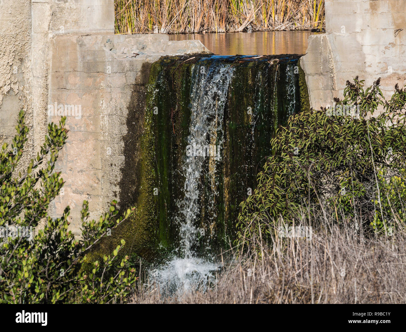 Ranch bernardo hi-res stock photography and images - Alamy