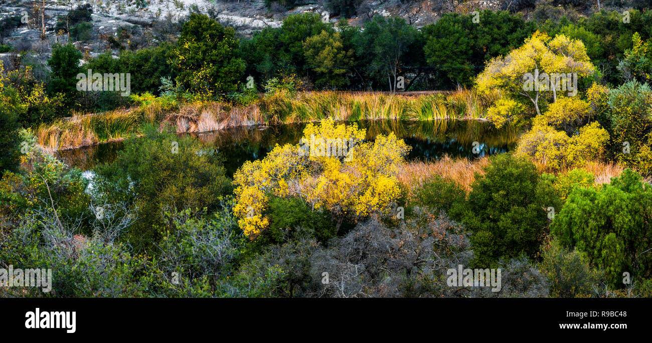 pond at wilderness gardens, pala ca us Stock Photo - Alamy