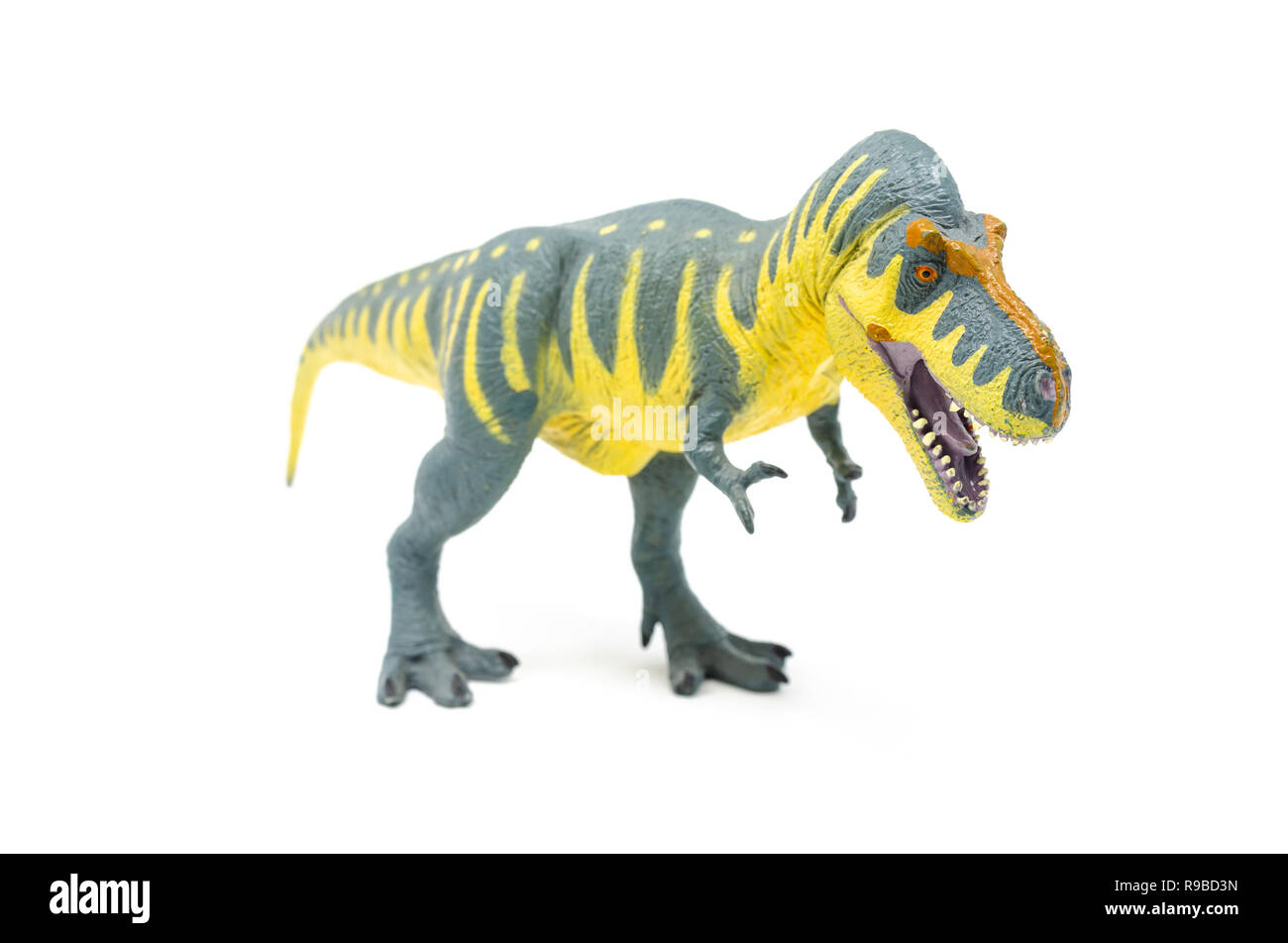 Blue rex hi-res stock photography and images - Alamy