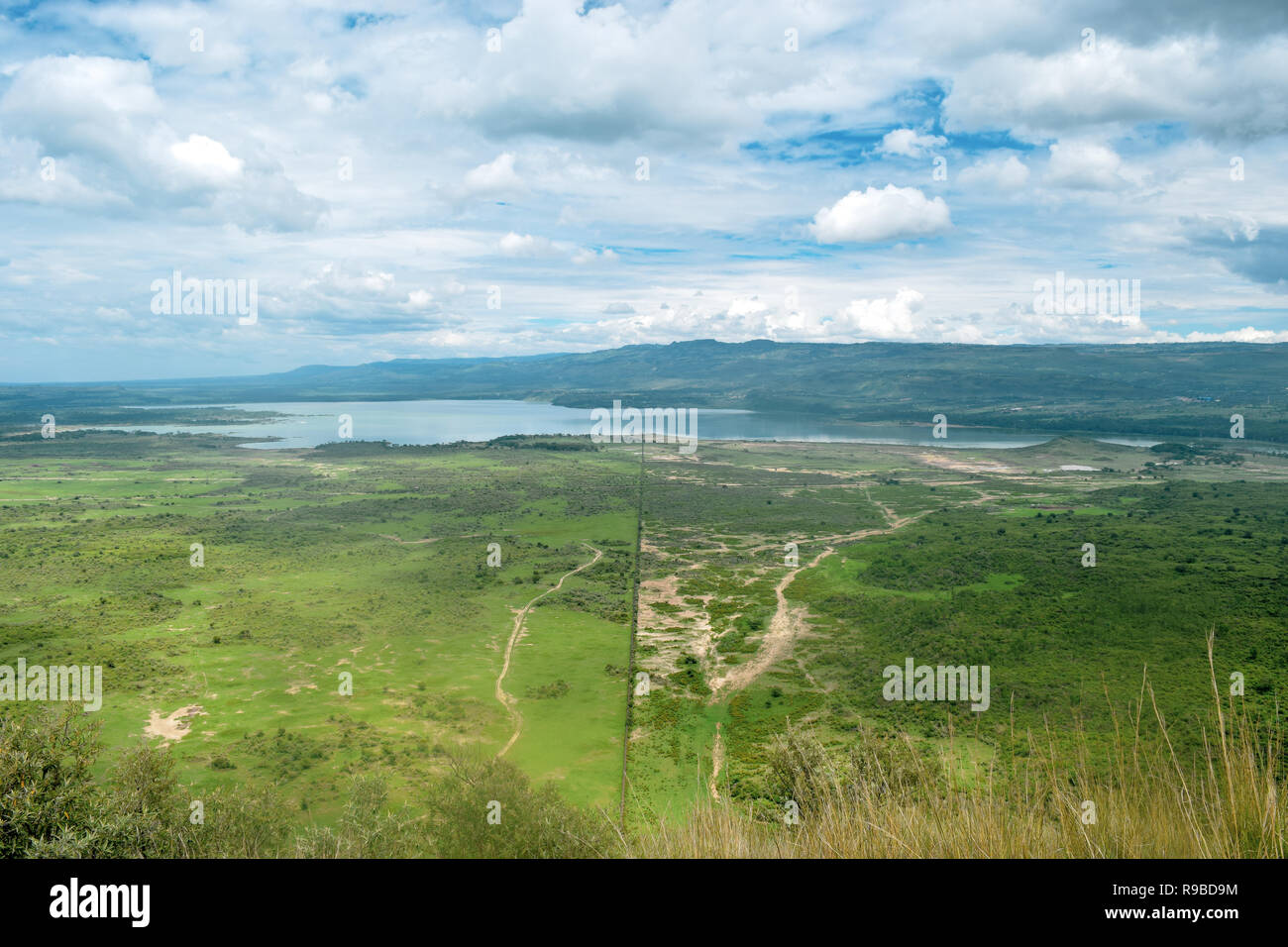 Bird watching lake naivasha hi-res stock photography and images - Alamy
