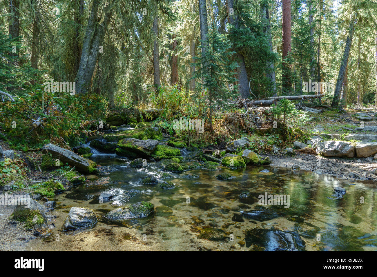 Finch lake trail hi-res stock photography and images - Alamy