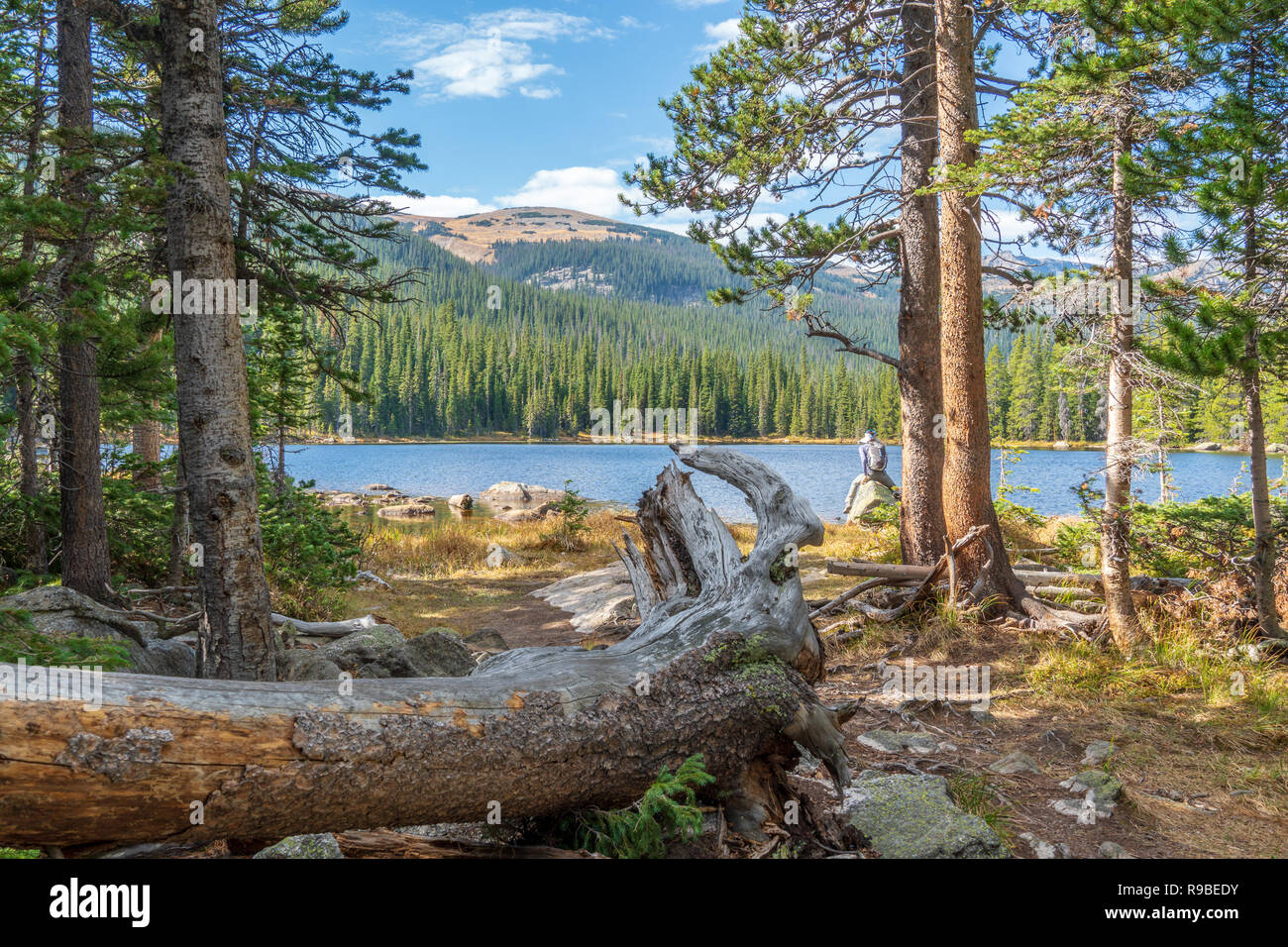 Finch Lake Trail in the Rocky Mountain National Park, USA Stock Photo ...