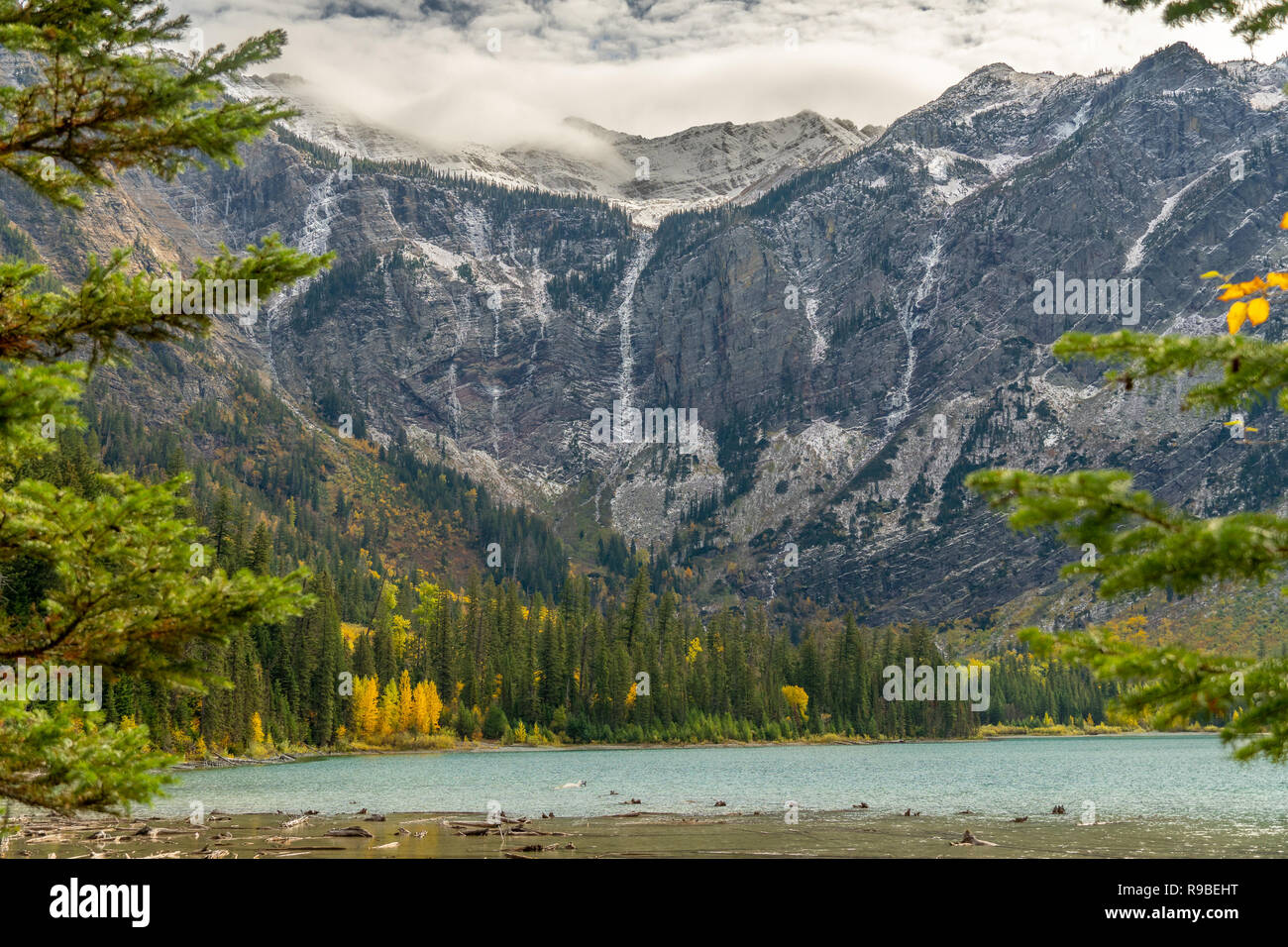 Avalanche Lake Loop in Glacier National Park in Montana Stock Photo - Alamy