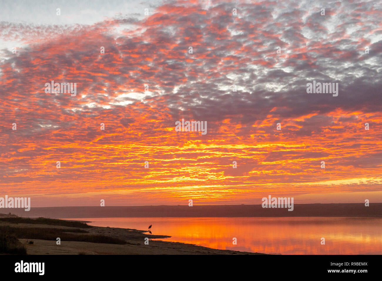 Redwood National and State Park in October - Northern California Stock ...