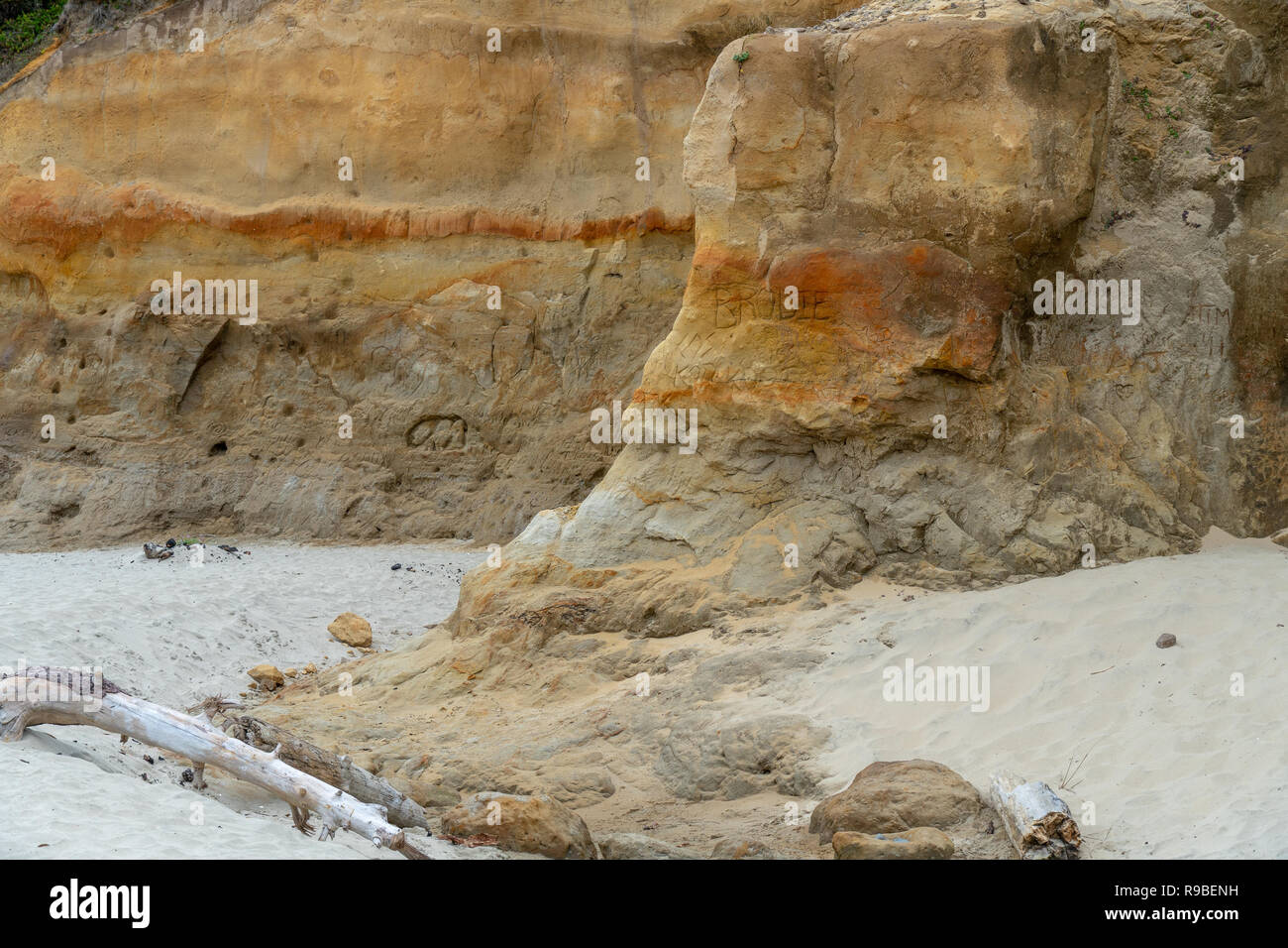 Oregon Coast Trail - Pacific Northwest during October Stock Photo - Alamy