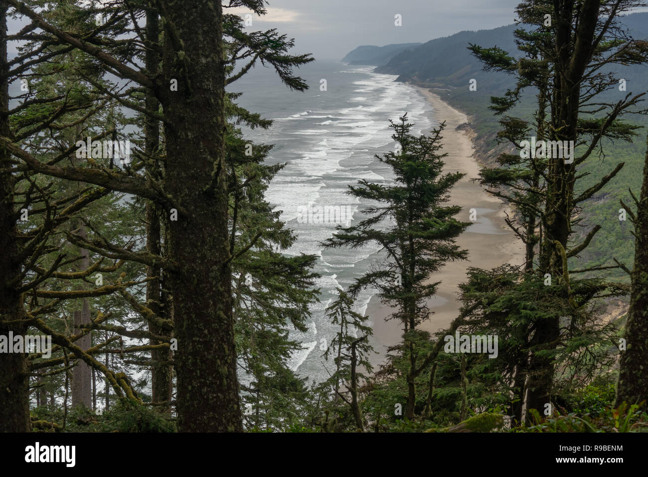 Oregon Coast Trail - Pacific Northwest during October Stock Photo - Alamy