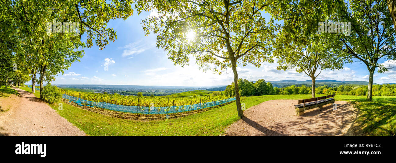 Rheingau kiedrich hi-res stock photography and images - Alamy
