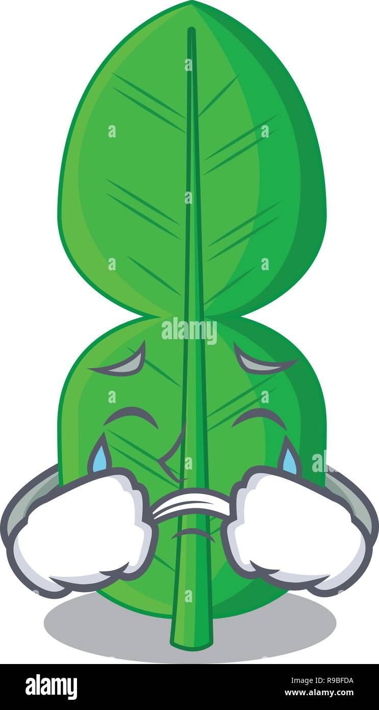 Crying bergamot leaf in a character funny Stock Vector Image & Art - Alamy