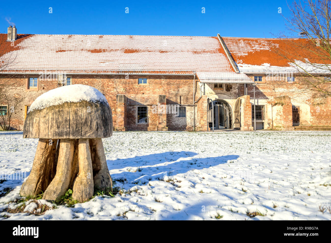 Hofgut Guntershausen, Kühkopf, Stockstadt am Rhein, Germany Stock Photo ...