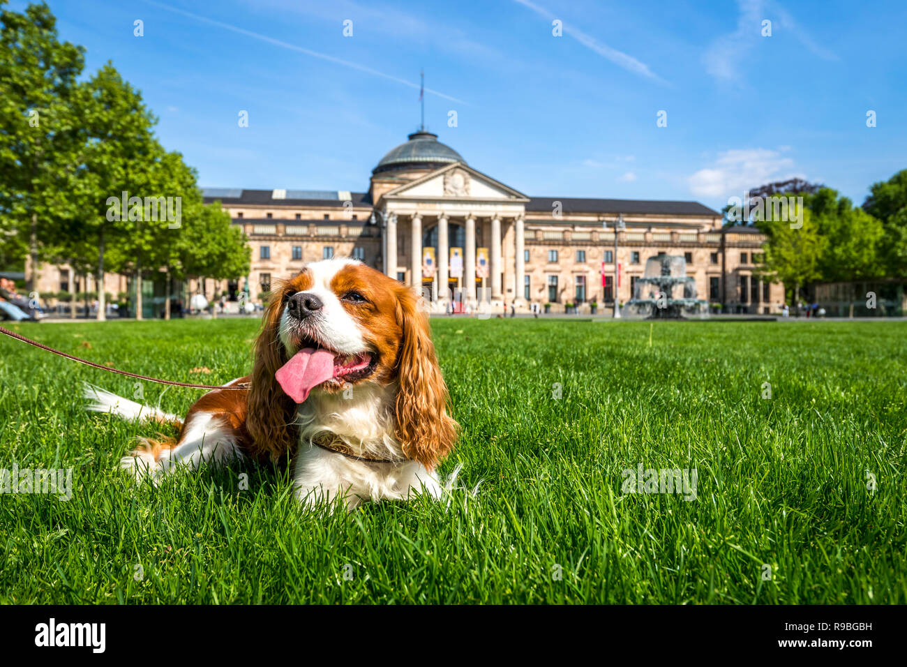 Wiesbaden kurhaus hi-res stock photography and images - Alamy