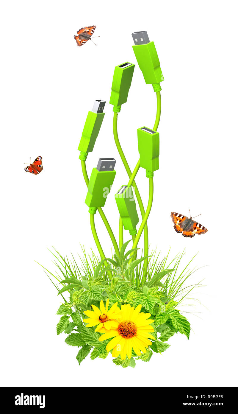 Usb plugs, flowers and butterfly. Isolated over white Stock Photo - Alamy
