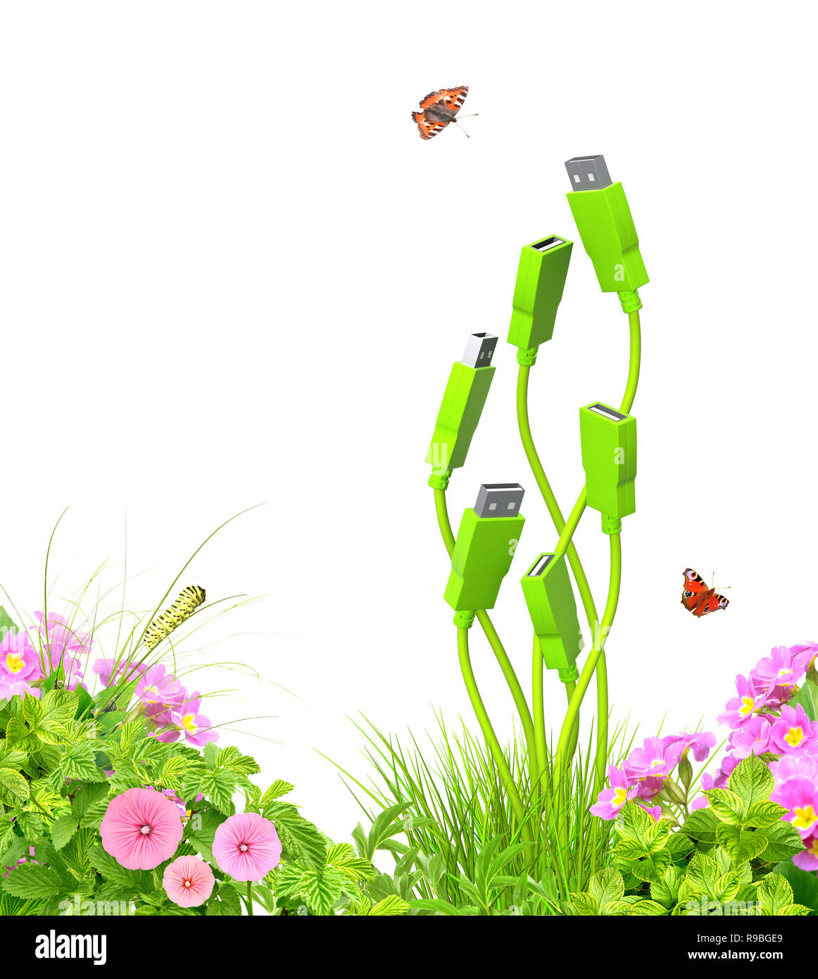 Usb plugs, flowers and butterfly. Isolated over white Stock Photo - Alamy
