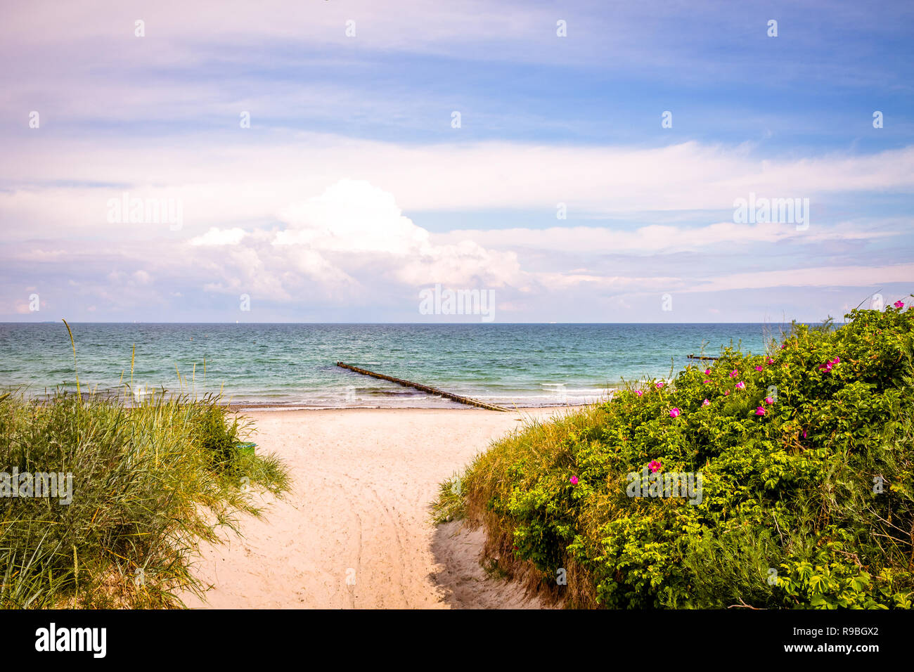 Ahrenshoop beach hi-res stock photography and images - Alamy