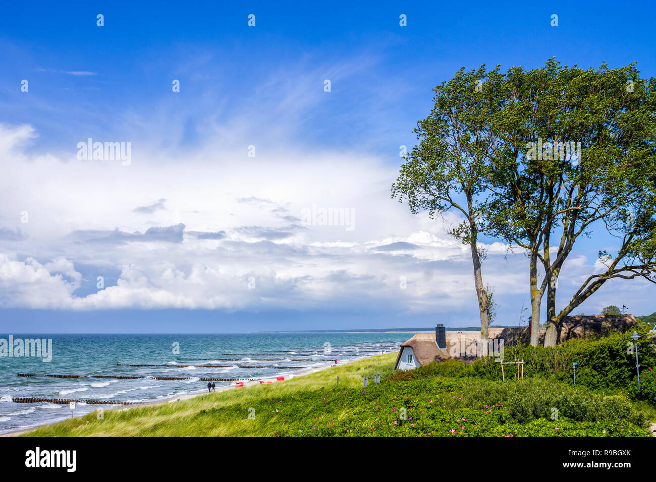 Ahrenshoop, Baltic Sea, Germany Stock Photo - Alamy