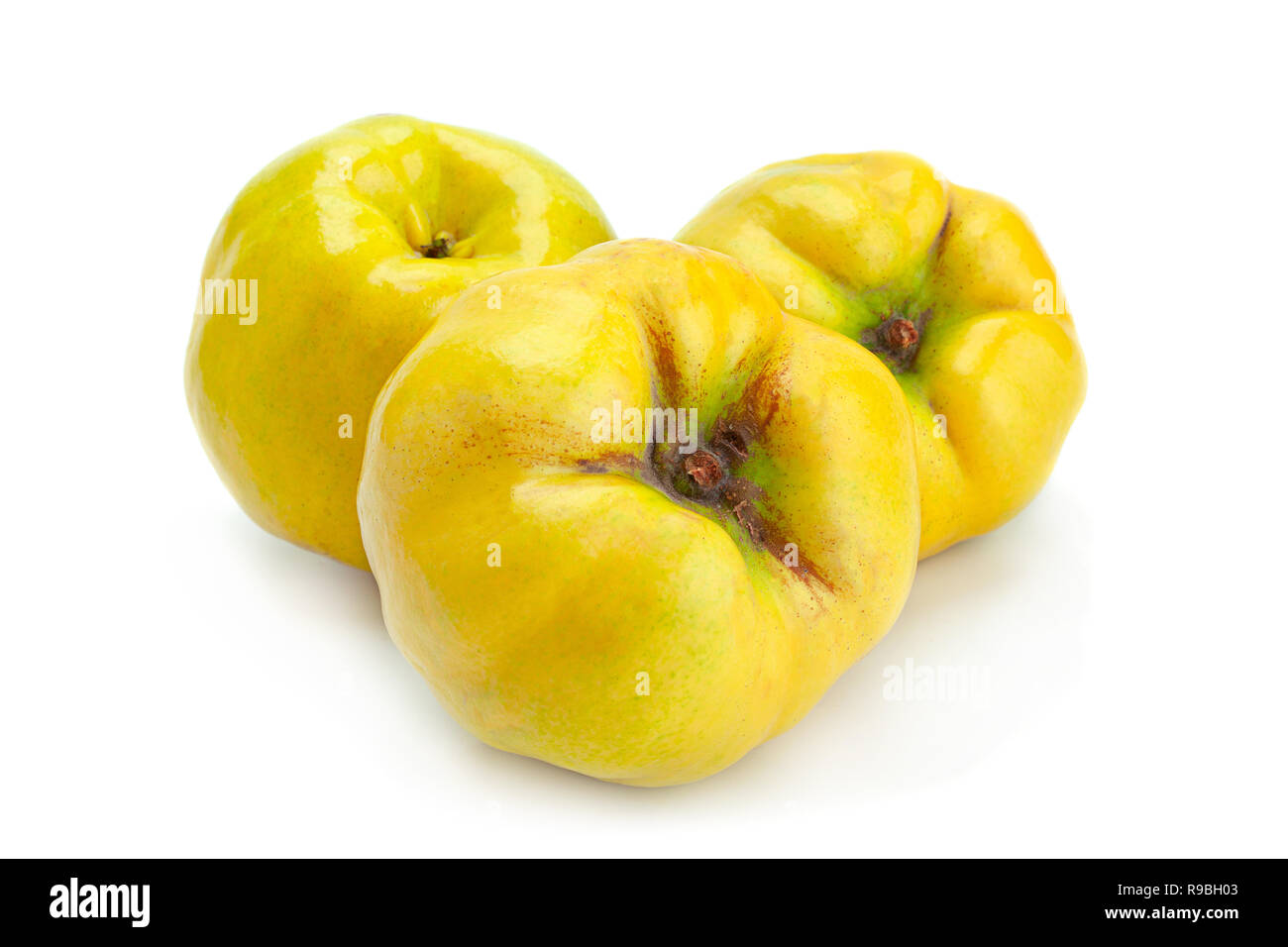 Quince ripe fruit isolated on white background Stock Photo - Alamy