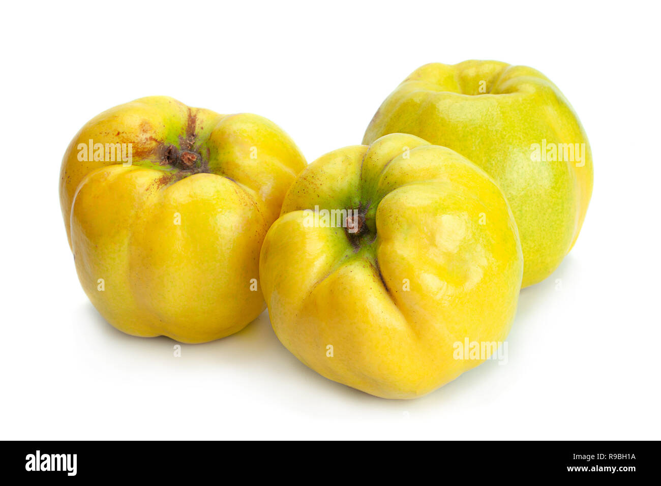 Quince ripe fruit isolated on white background Stock Photo - Alamy