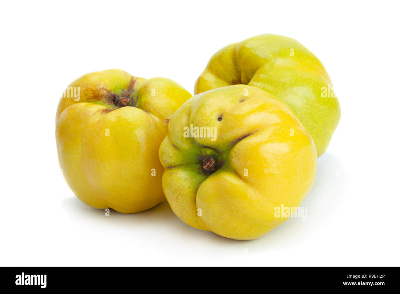 Quince ripe fruit isolated on white background Stock Photo - Alamy