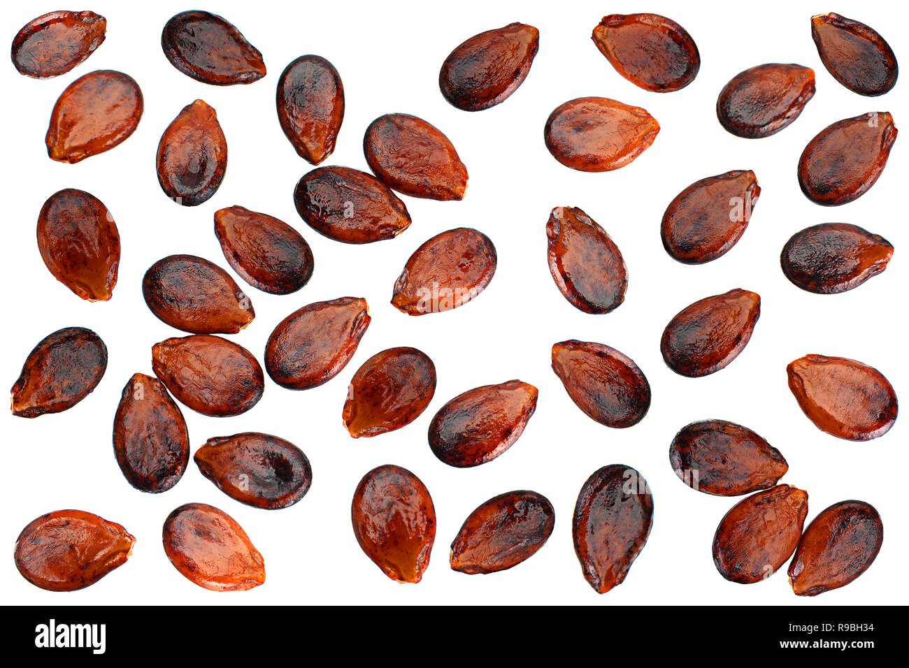 A Single Watermelon Seed