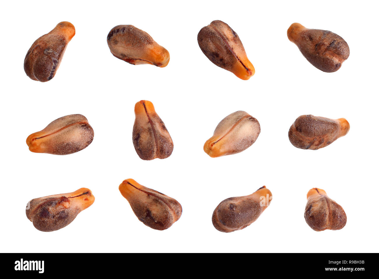 Grape seeds closeup set isolated on white background Stock Photo - Alamy