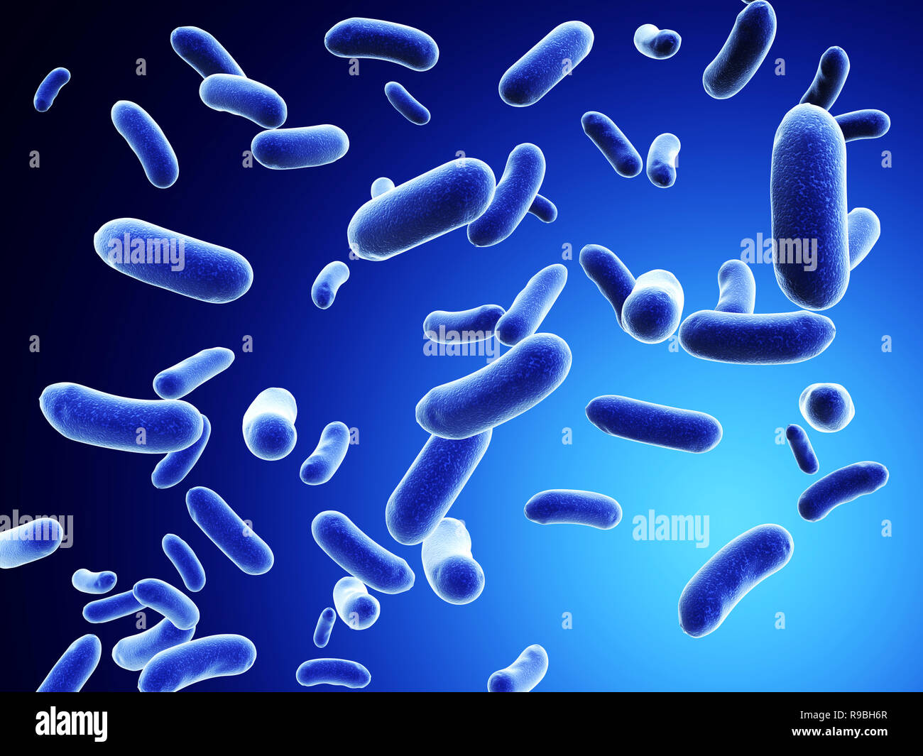 Pathogen bacteria hi-res stock photography and images - Alamy