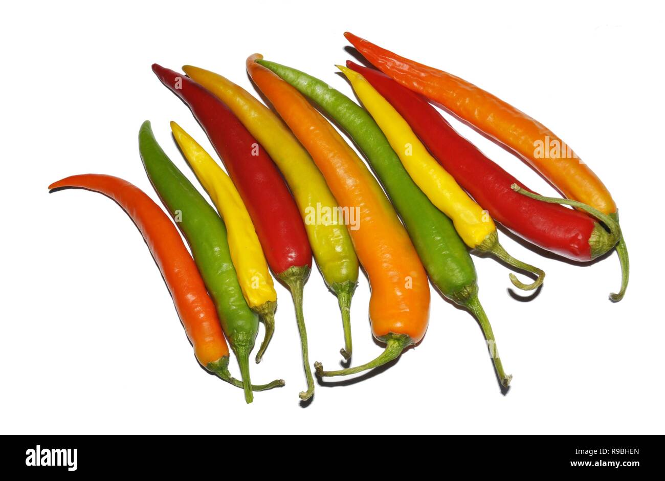 Chilli fruits in many different colors isolated on white background ...