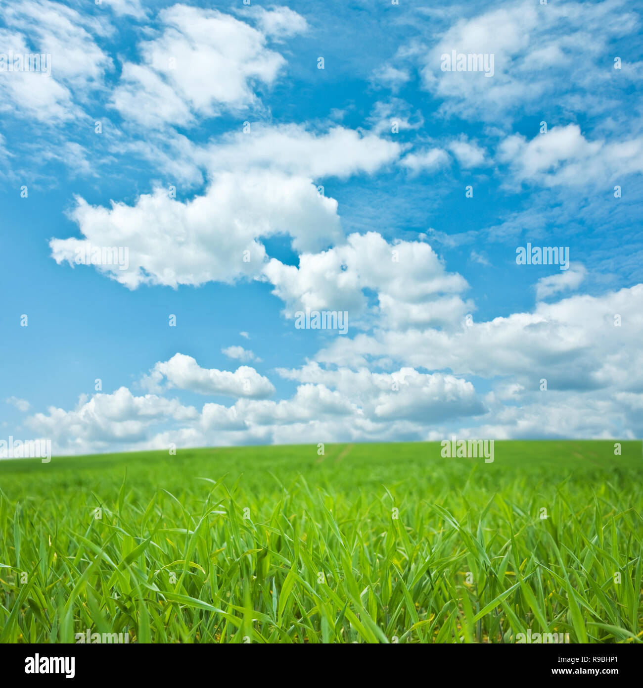spring landscape scenery - beauty in nature, landscapes and environment ...