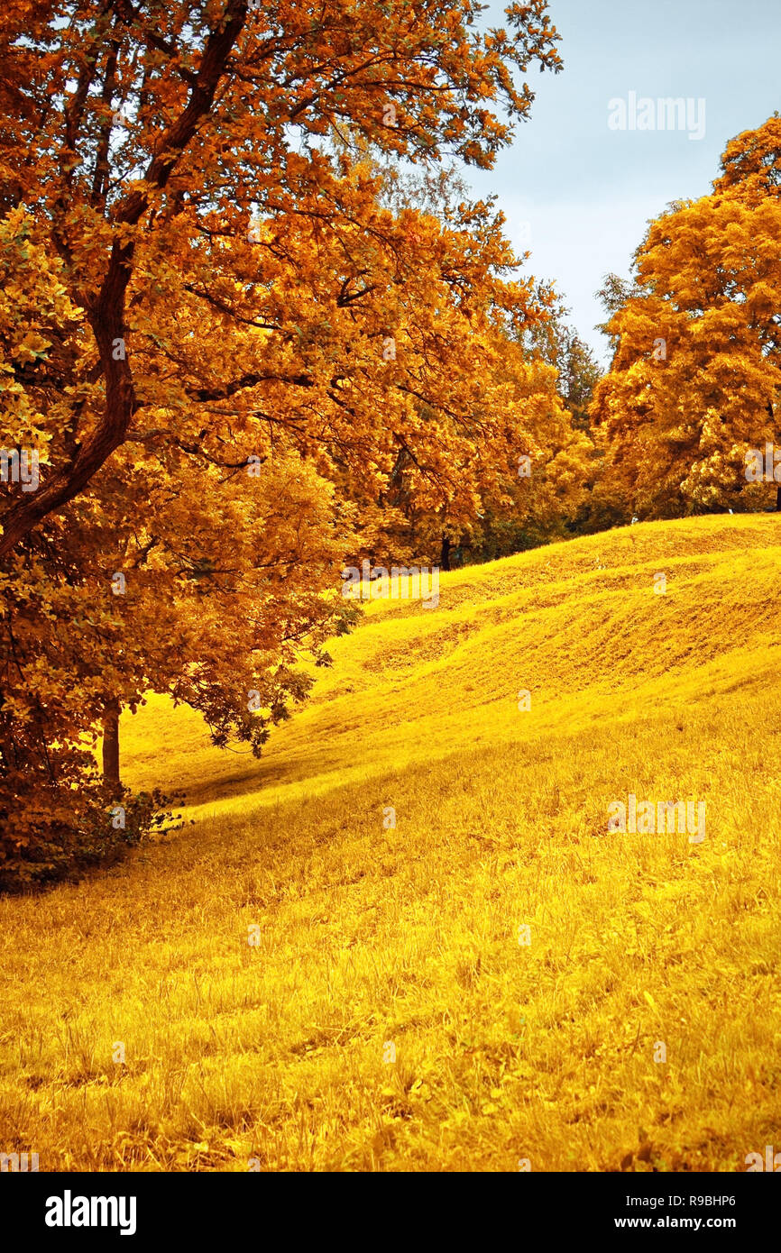 fall scenery, beauty of autumn - nature and environment concept ...