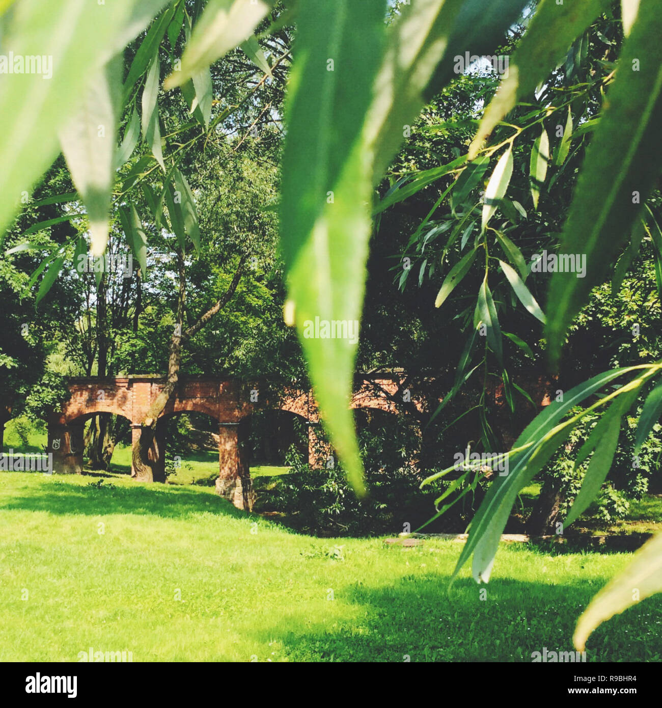 spring landscape scenery - beauty in nature, landscapes and environment ...