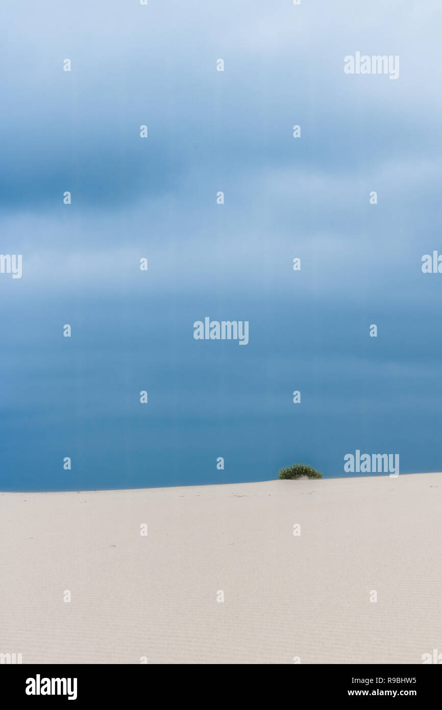 wild desert - beauty in nature, landscapes and environment concept ...