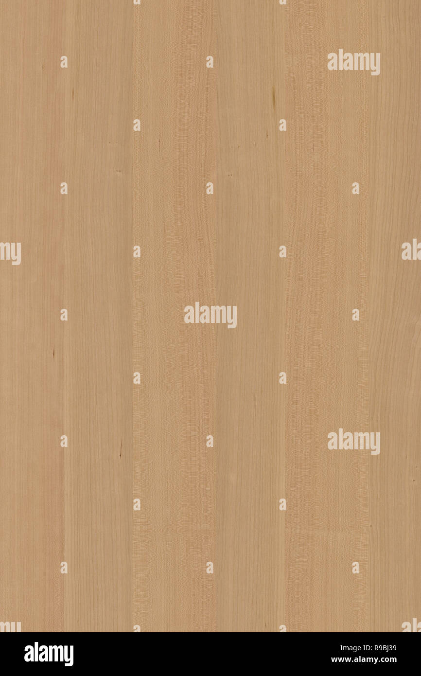 cherry tree wood wallpaper structure surface texture background surface ...